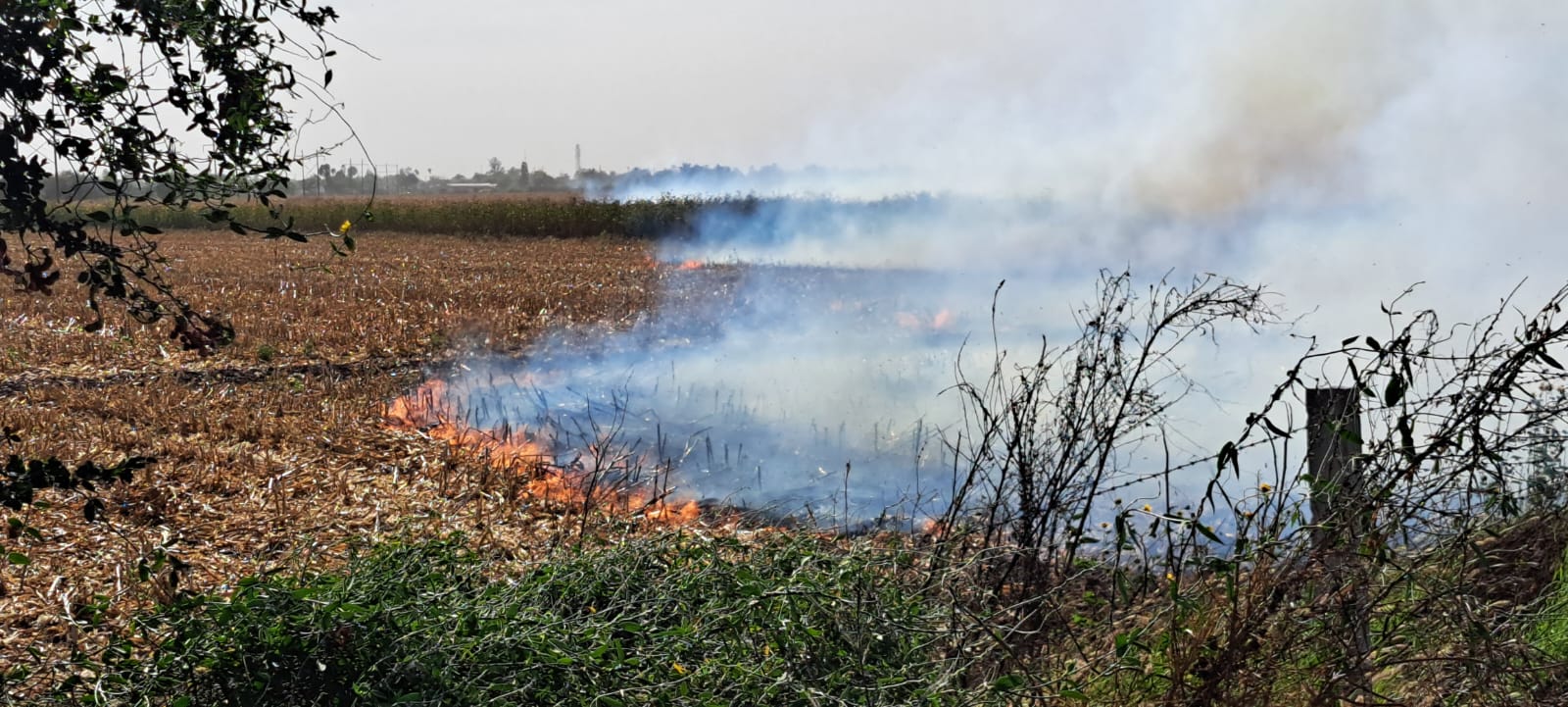 Cerrada la México 15 a la altura de El Burrión, incendio de maíz se ...