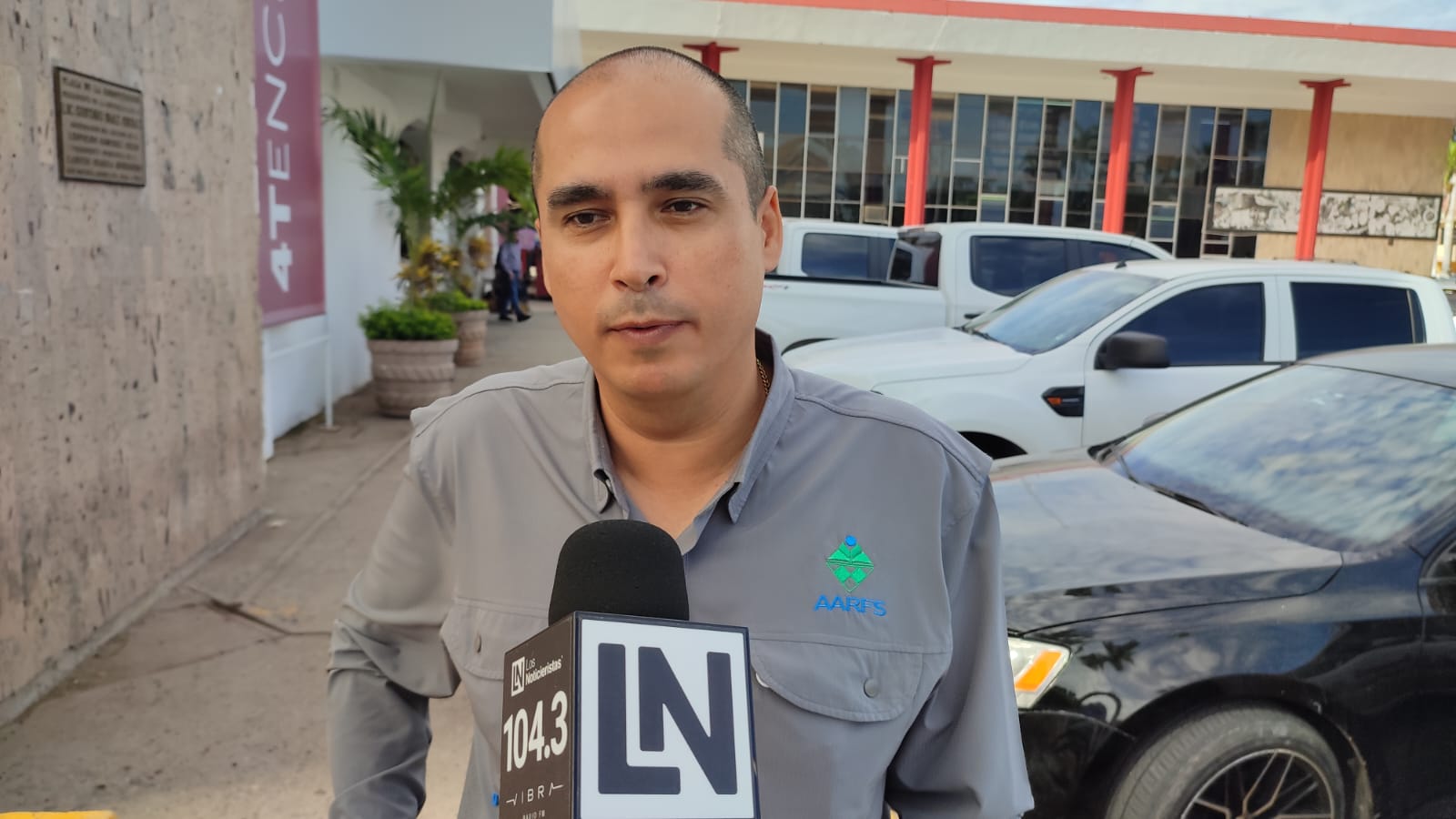 Adquisición del millón de toneladas de maíz es un pequeño avance; pero ...