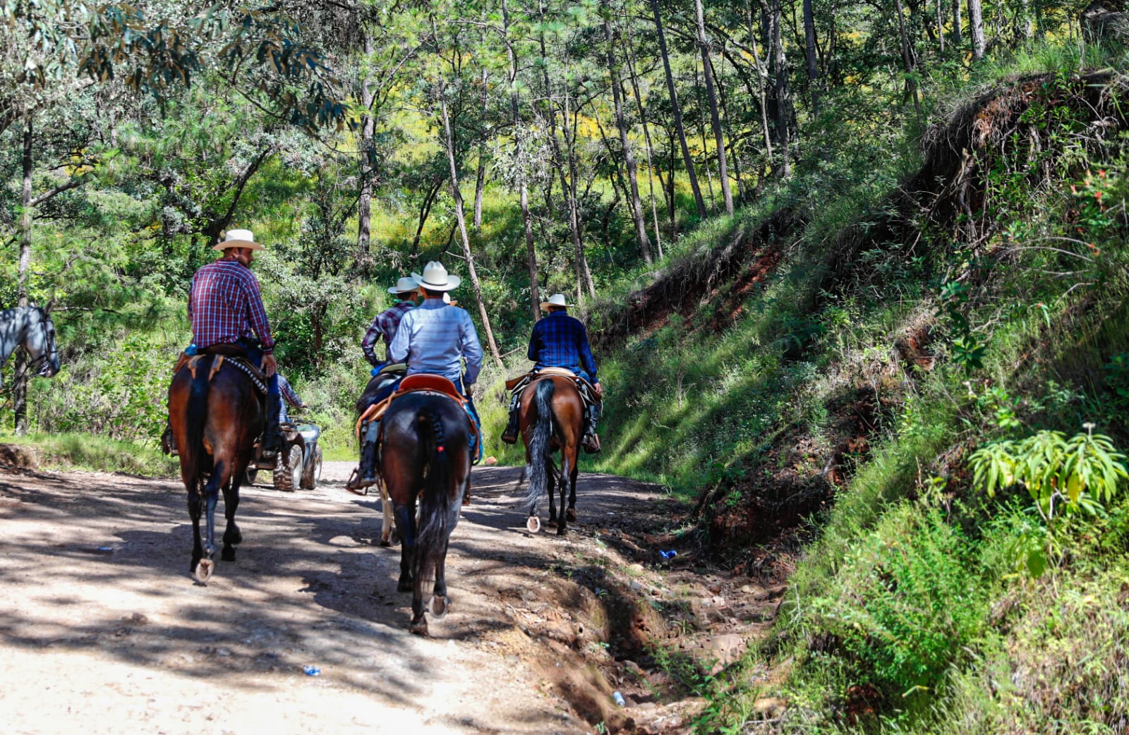 Celebran la 17va edición de la Cabalgata ‘Surutato 2022’ | Los ...