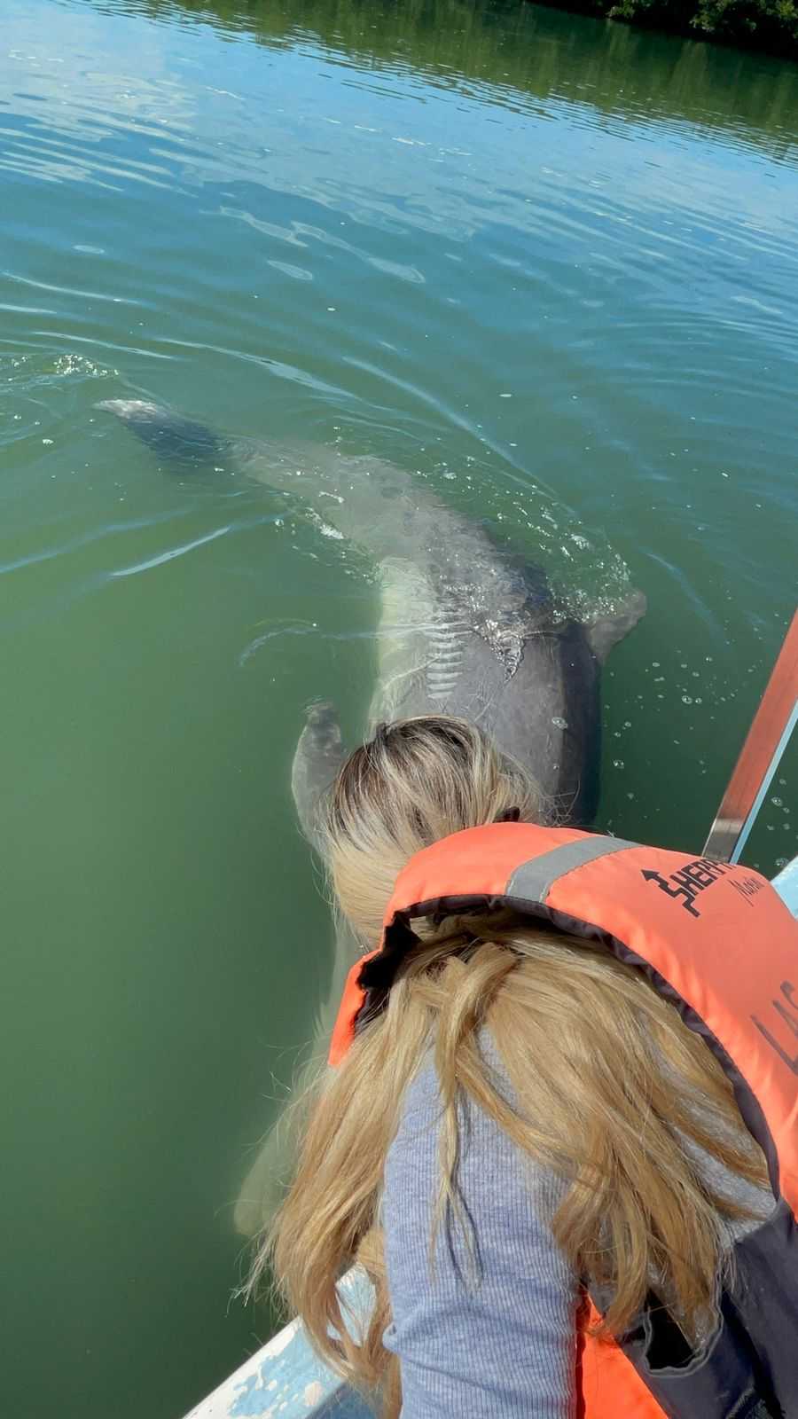 Suspenden en Topolobampo visitas al delfín conocido como ‘El Pechocho ...