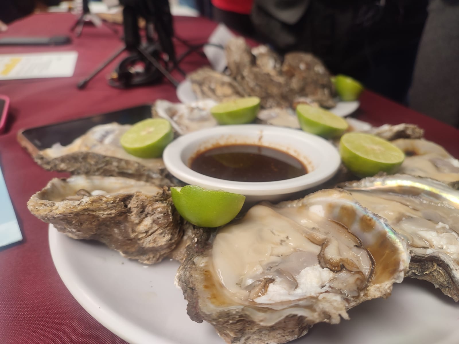 ¿De qué forma te comes los ostiones? Invitan a la 5ta Feria del Ostión ...